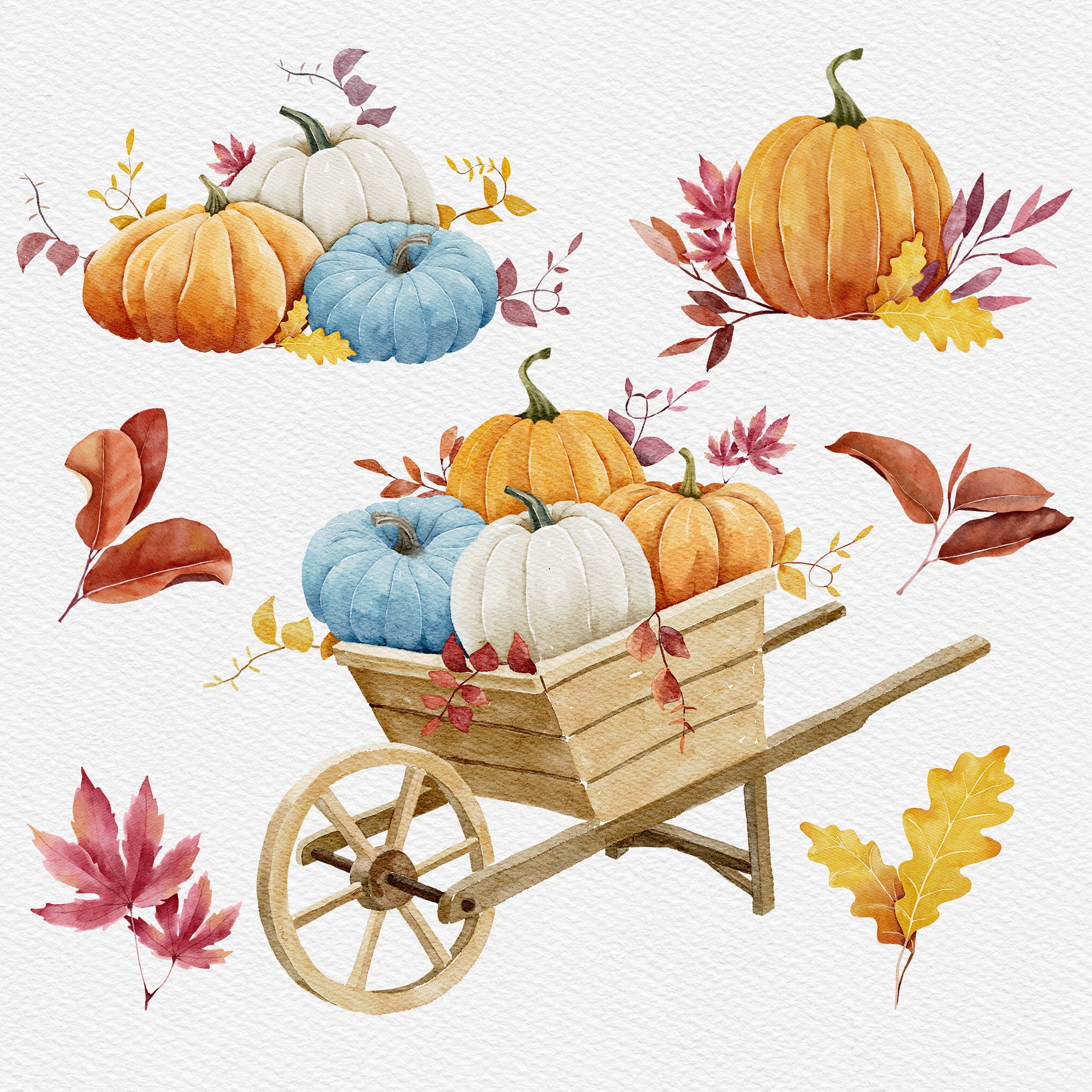 15 Watercolor Pumpkins With Autumn Leaves Clipart, Pumpkin PNG, Fall ...