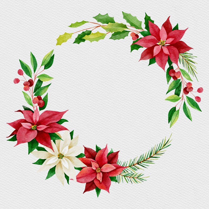 5 Elegant Watercolor Red Poinsettia Flowers Clipart, Poinsettia PNG ...