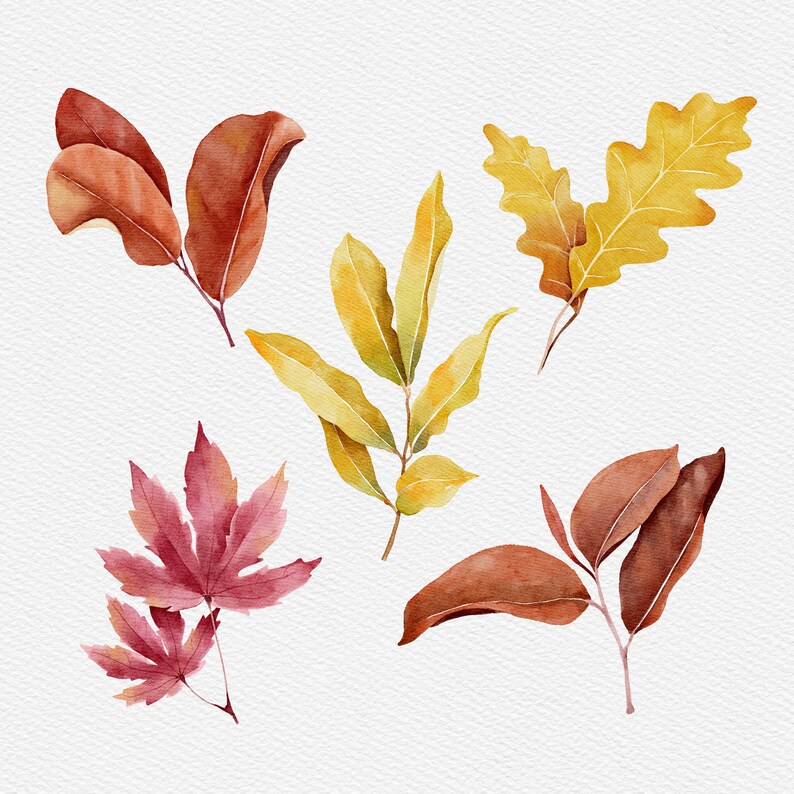 15 Watercolor Pumpkins With Autumn Leaves Clipart, Pumpkin PNG, Fall ...