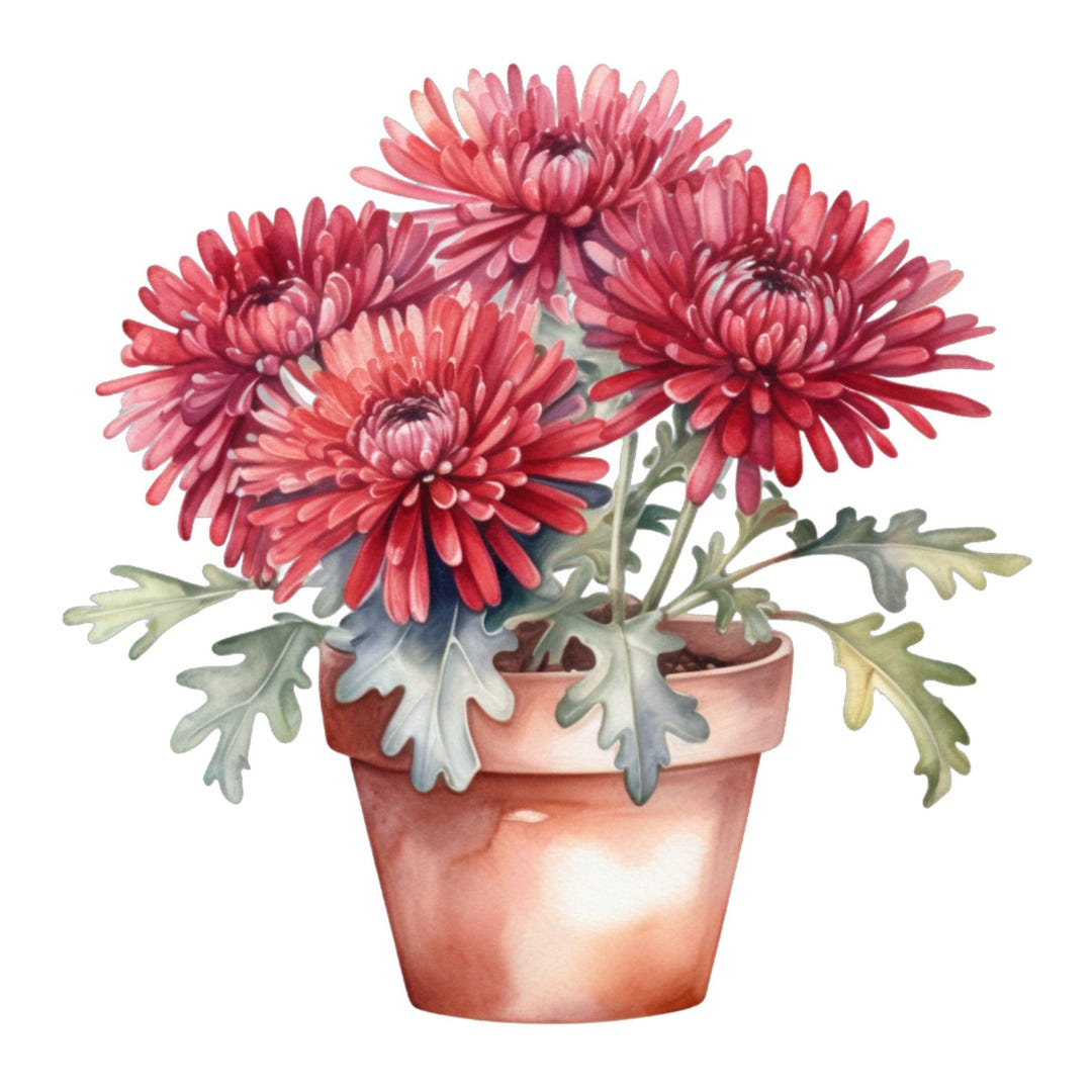20 Red Mums | Autumn Clipart | Fall Clipart | Autumn Graphics | Fall ...