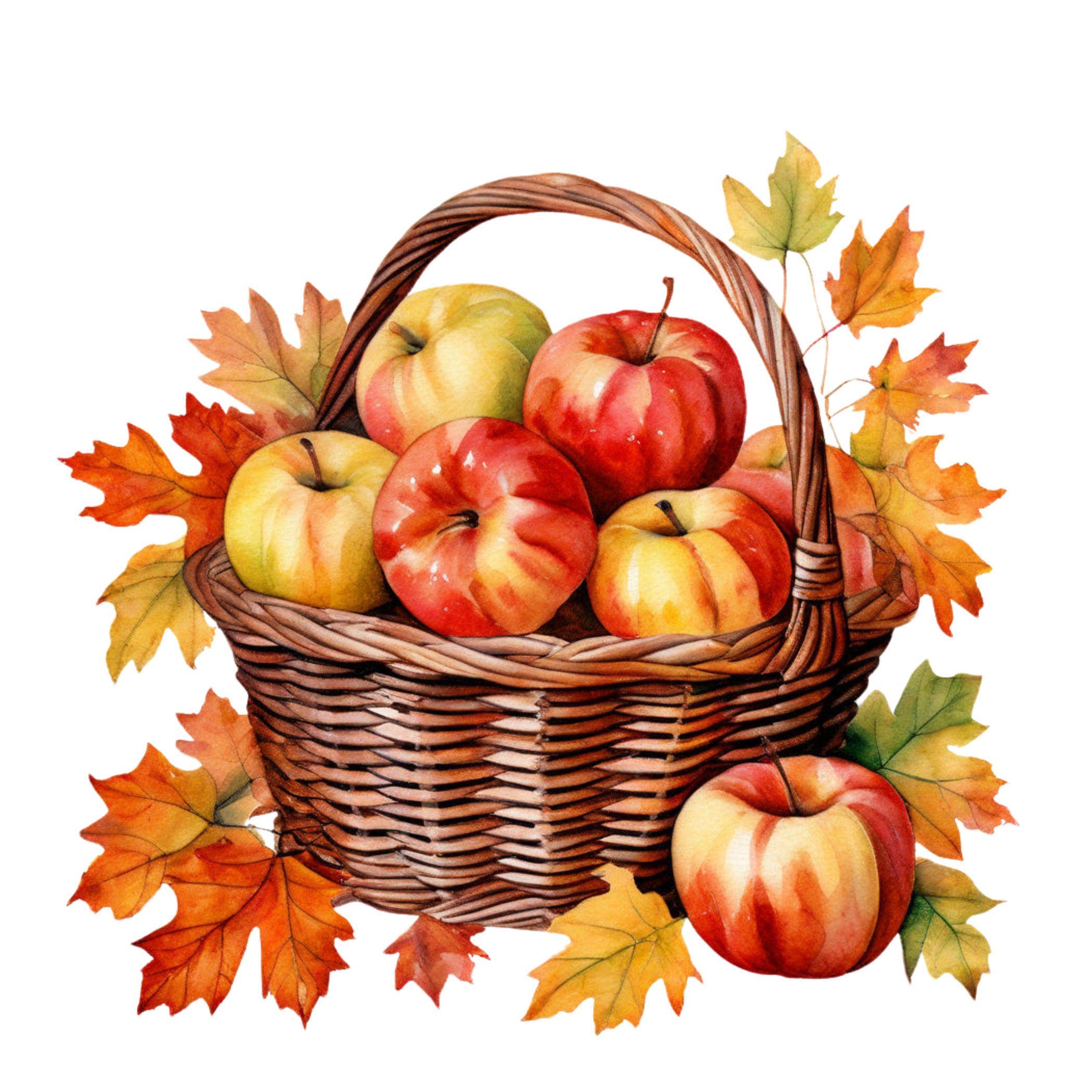 20 Baskets of Apples Autumn Clipart Fall Clipart Autumn Graphics Fall ...