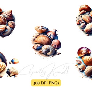 20 Seashells Clipart | Beach Graphics | Summer Fun Clipart | Ocean ...