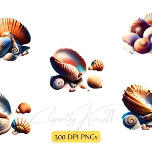 20 Seashells Clipart | Beach Graphics | Summer Fun Clipart | Ocean ...