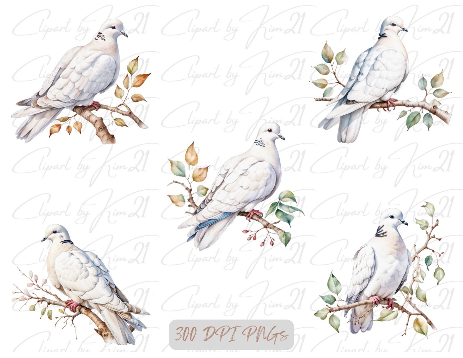 20 Watercolor Doves | Watercolor Clipart | White Bird Clipart - Etsy