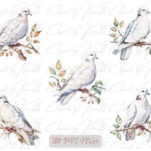 20 Watercolor Doves | Watercolor Clipart | White Bird Clipart - Etsy