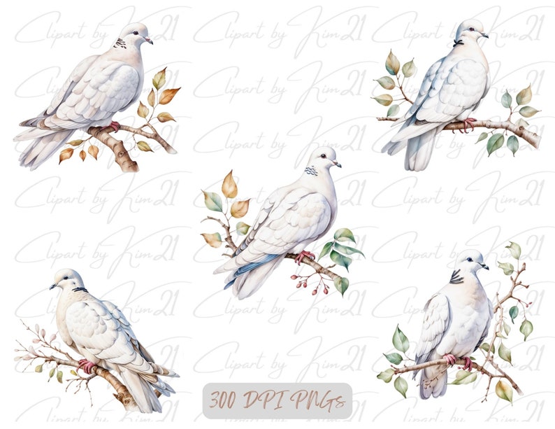 20 Watercolor Doves | Watercolor Clipart | White Bird Clipart - Etsy
