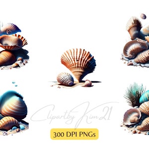 20 Seashells Clipart | Beach Graphics | Summer Fun Clipart | Ocean ...