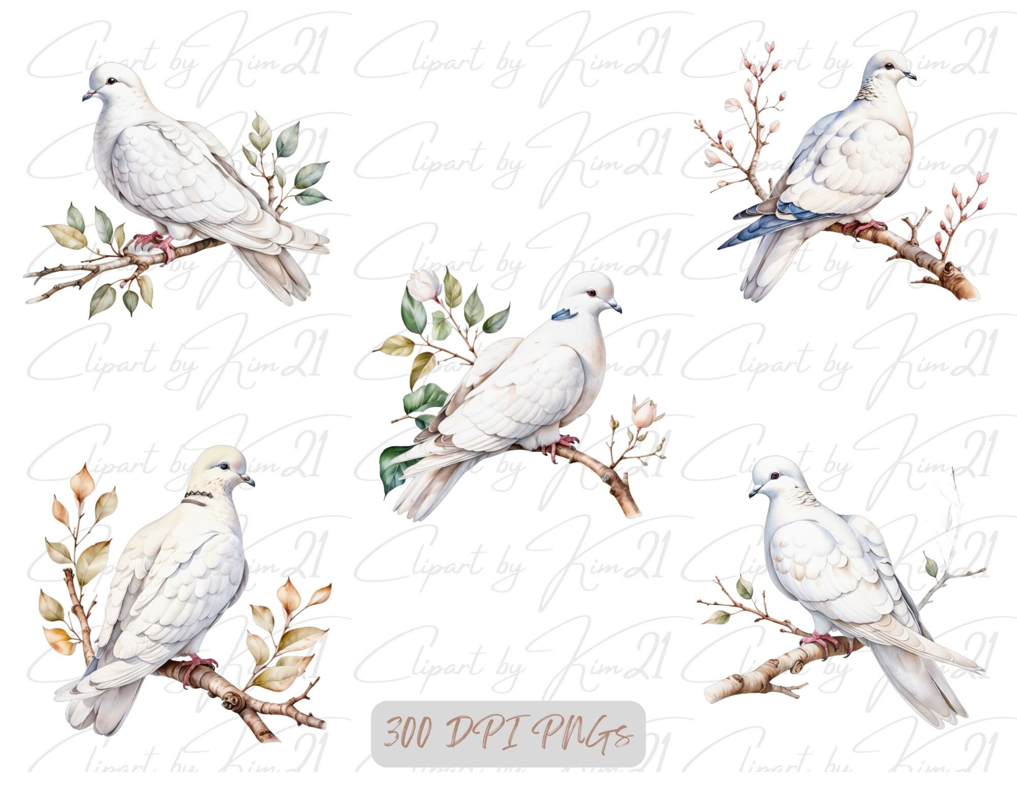 20 Watercolor Doves | Watercolor Clipart | White Bird Clipart - Etsy