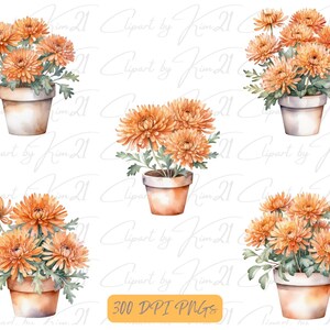 20 Orange Mums | Autumn Clipart | Fall Clipart | Autumn Graphics | Fall ...