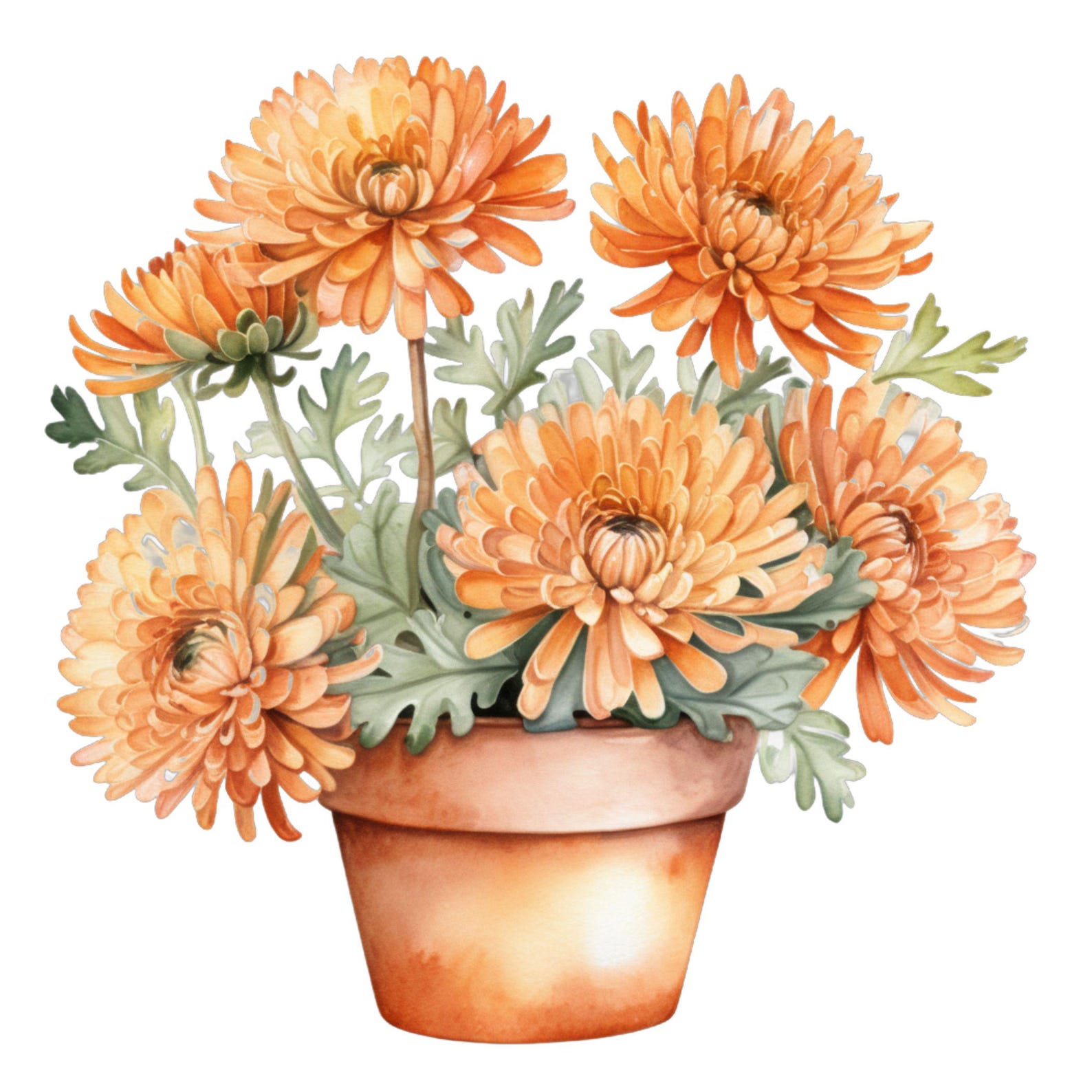 20 Orange Mums | Autumn Clipart | Fall Clipart | Autumn Graphics | Fall ...