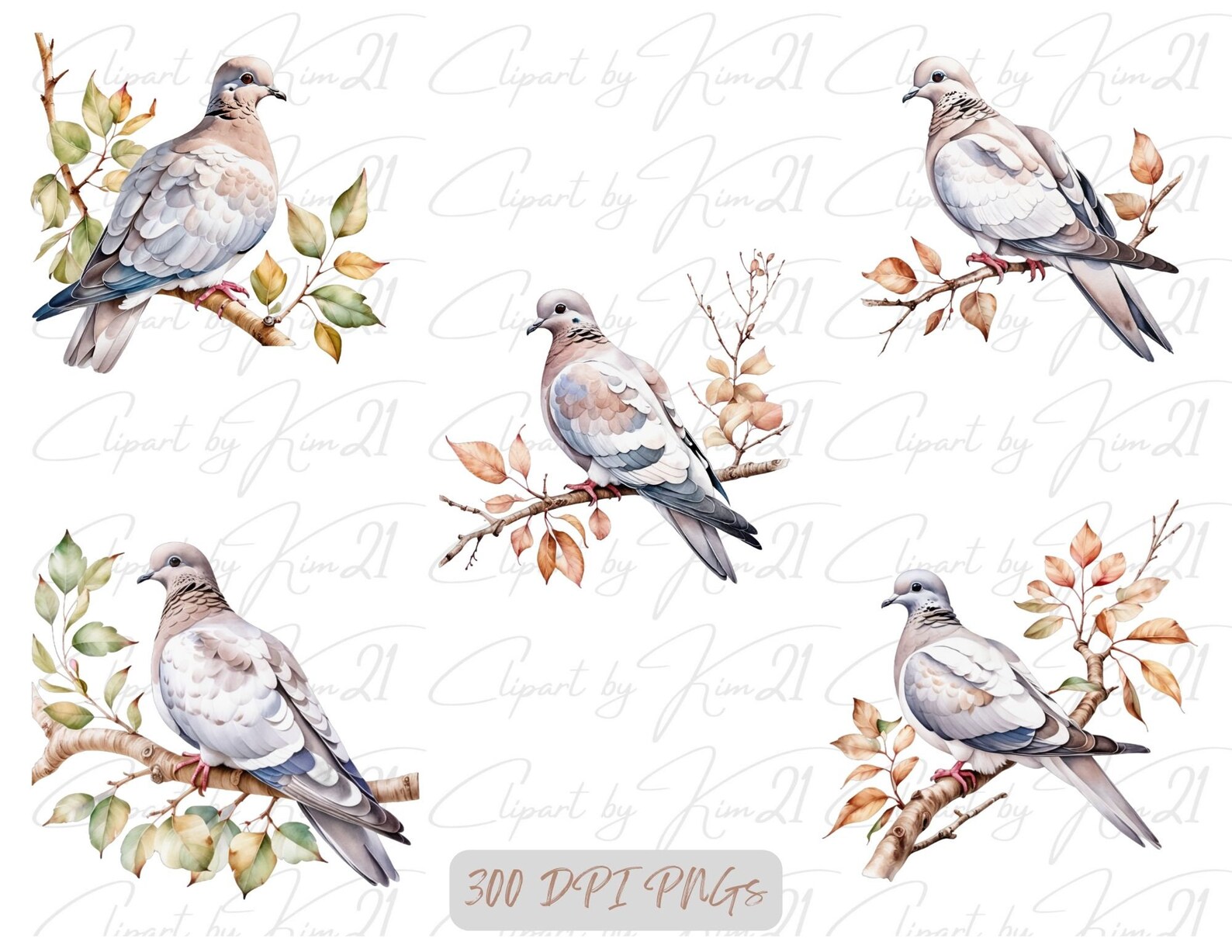 20 Watercolor Doves | Watercolor Clipart | White Bird Clipart - Etsy