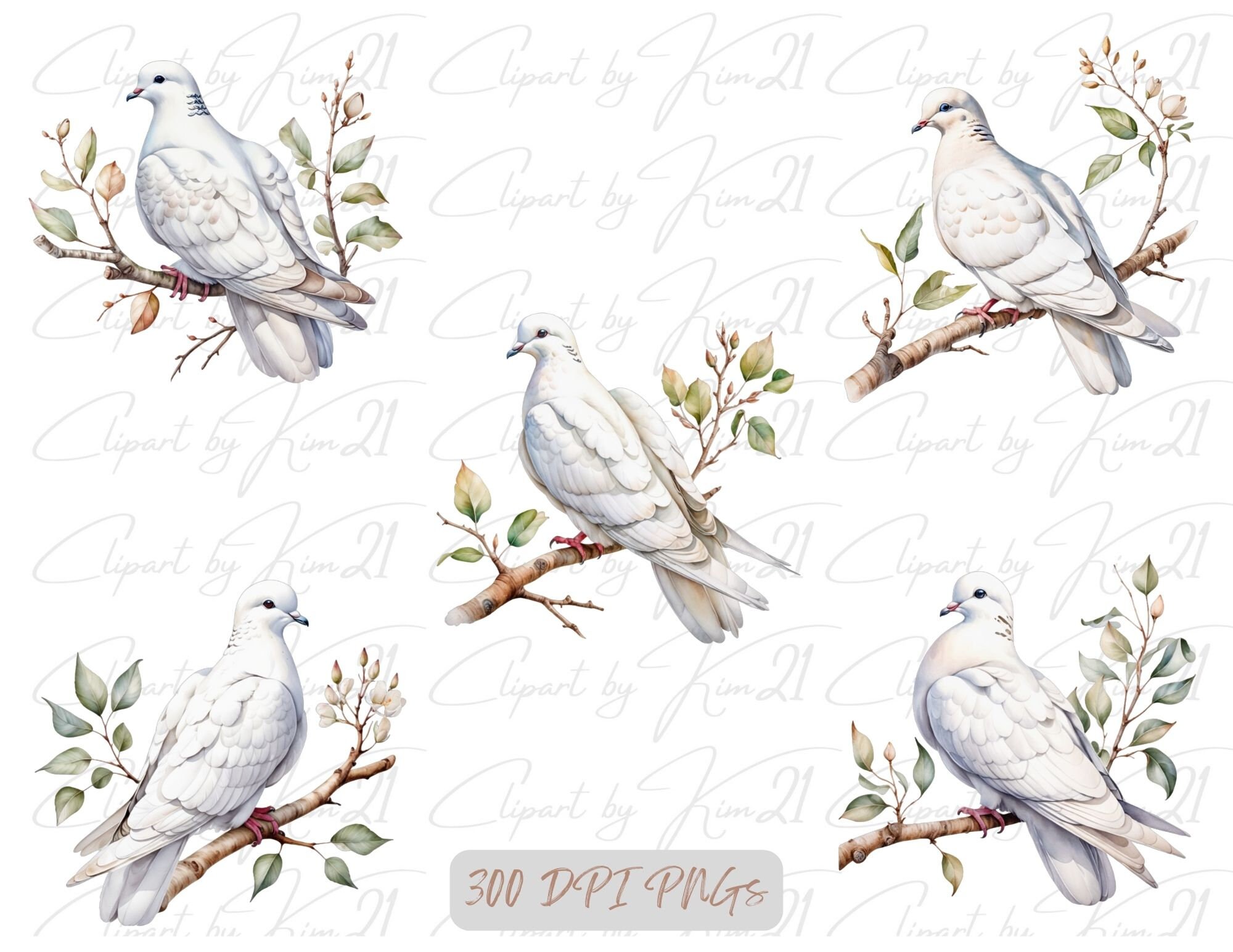 20 Watercolor Doves | Watercolor Clipart | White Bird Clipart - Etsy