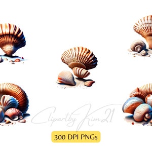 20 Seashells Clipart | Beach Graphics | Summer Fun Clipart | Ocean ...