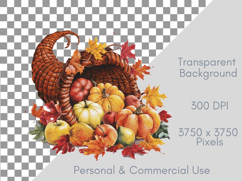 Thanksgiving Cornucopia Clipart | Autumn Harvest Graphics (digital ...