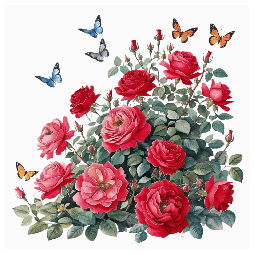 20 Red Rose Bushes With Butterflies | Red Rose Bushes PNG | Flowers ...