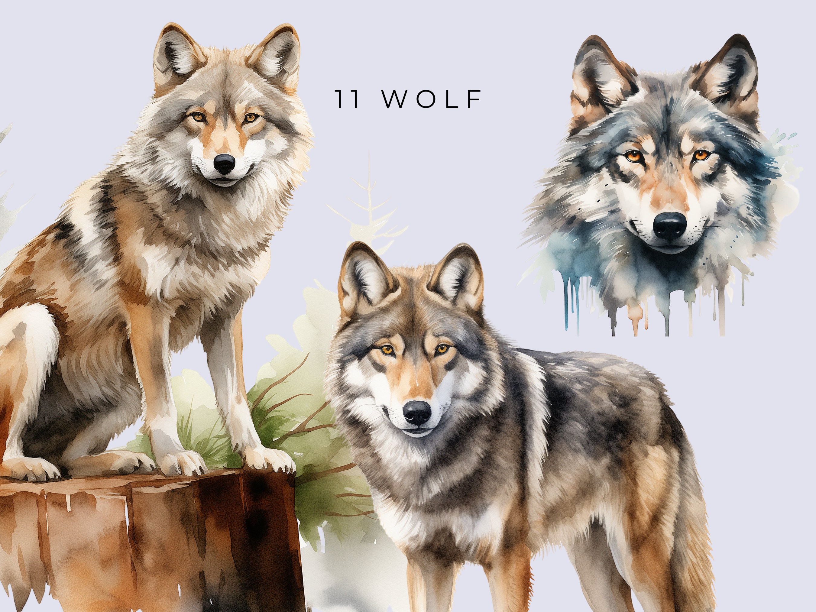 Wolf Clipart, Watercolour Wolves for Commercial Use, Transparent Pngs ...