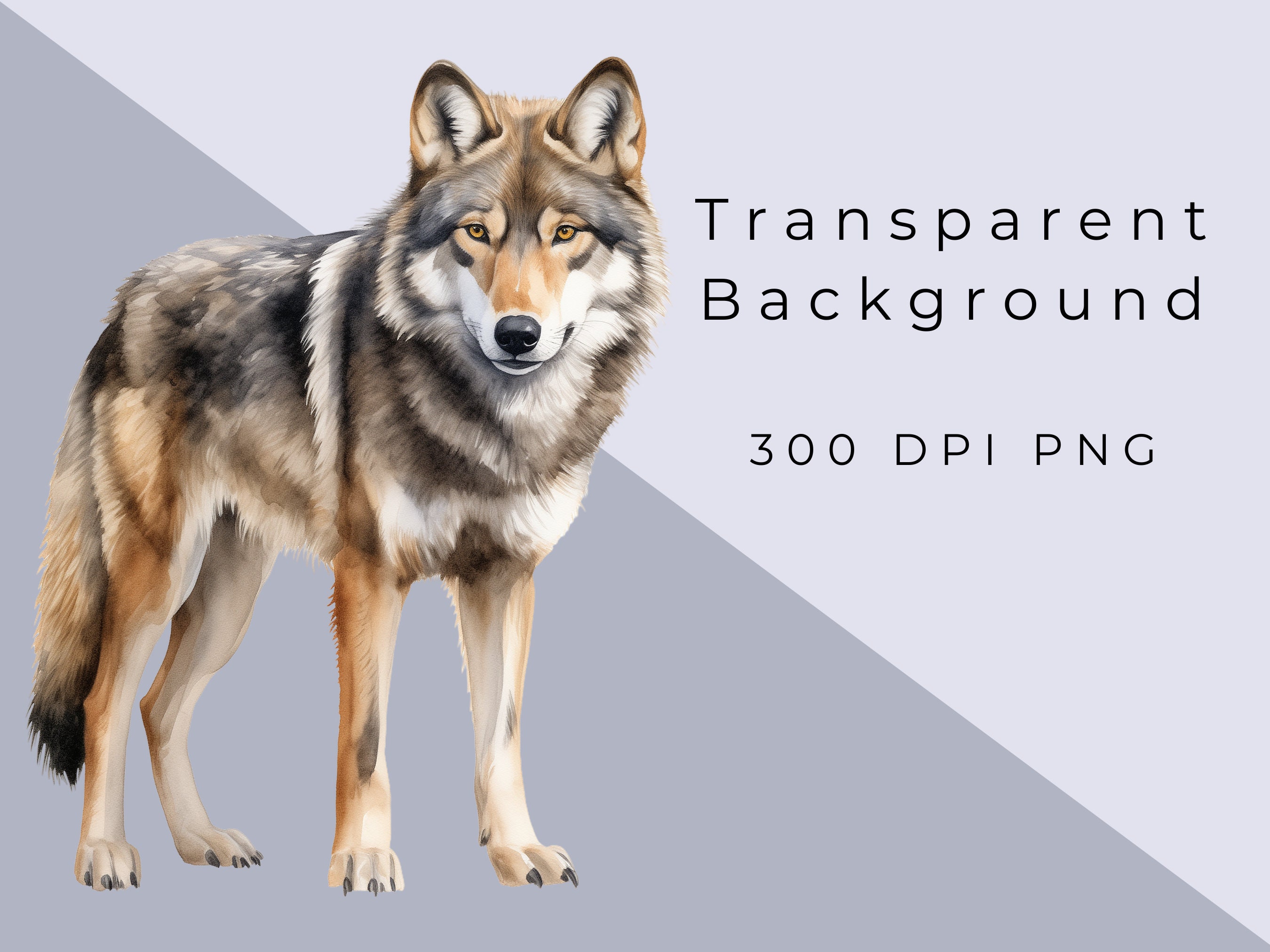 Wolf Clipart, Watercolour Wolves for Commercial Use, Transparent Pngs ...