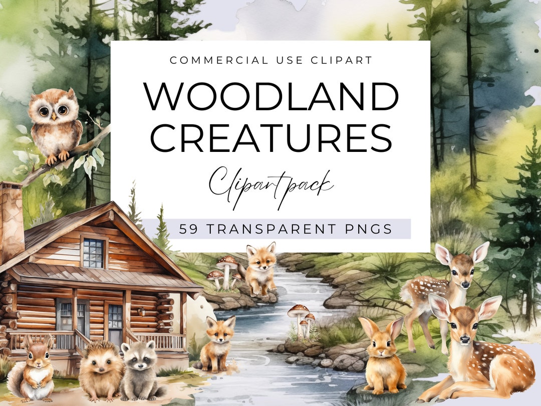 Woodland Animal Clipart Watercolour, Clipart for Commercial Use ...