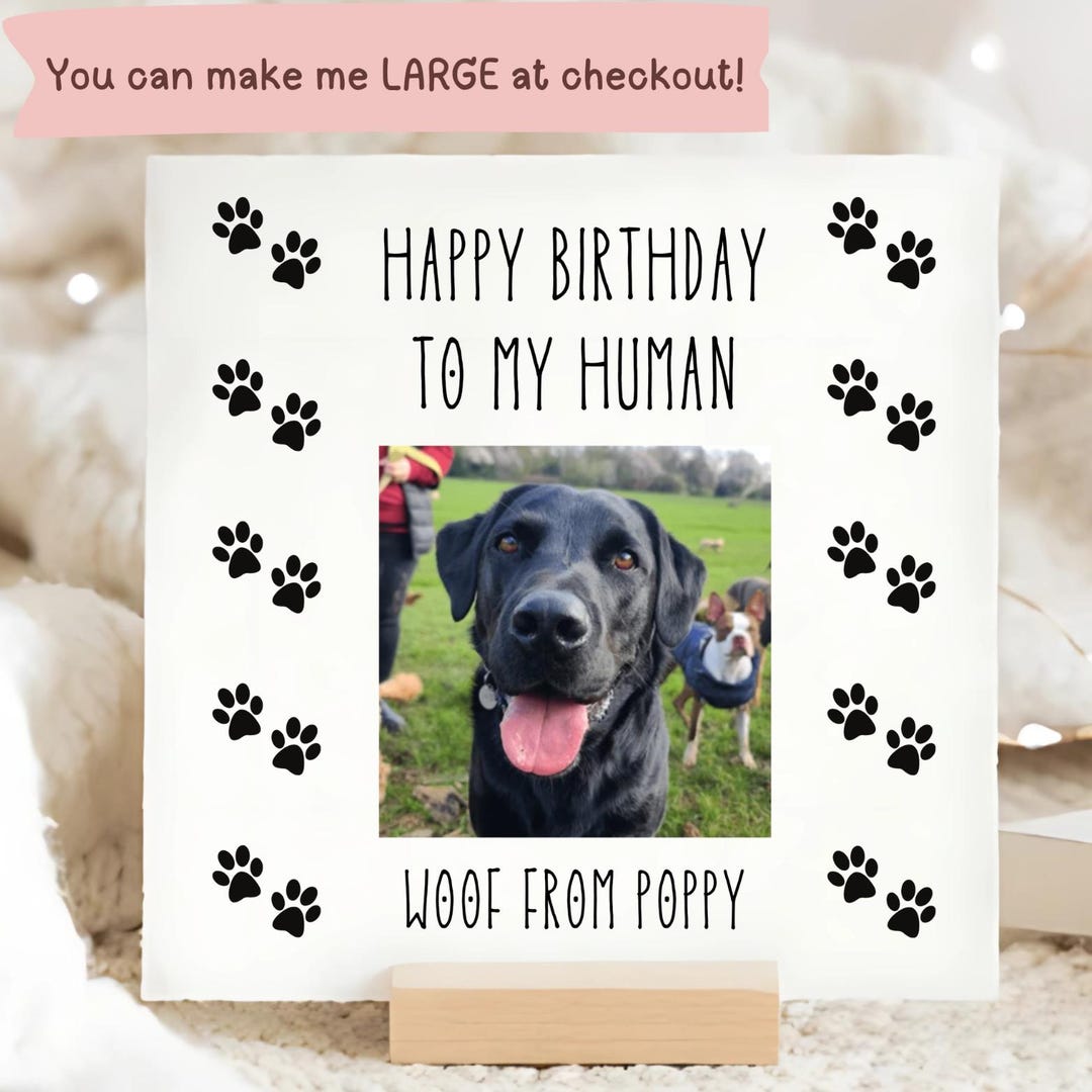Custom Pet Photo Birthday Card, to My Hooman, to My Human, Woof From ...