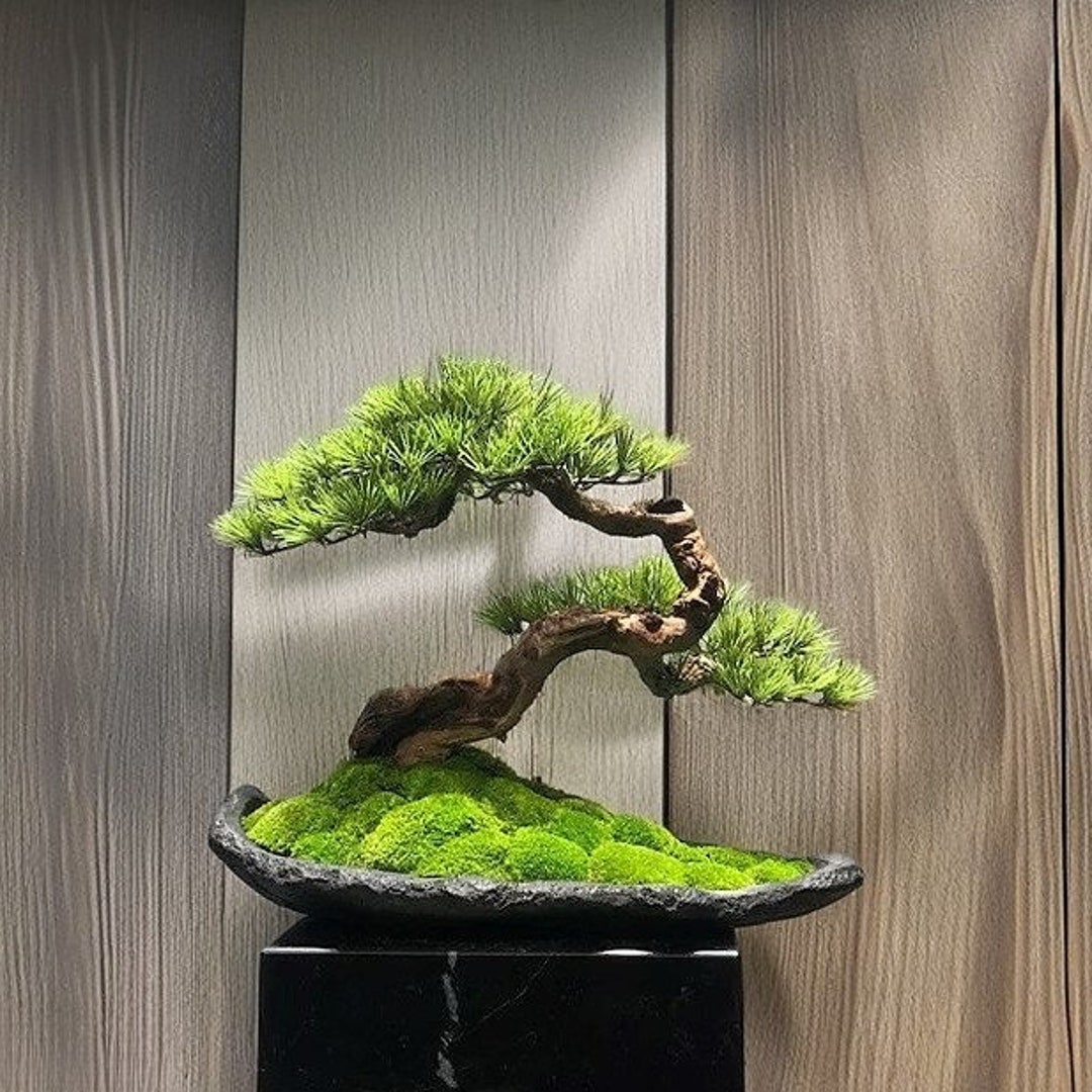 Faux Bonsai Exclusive Design Latest Works Faux Bonsai Art Work ...