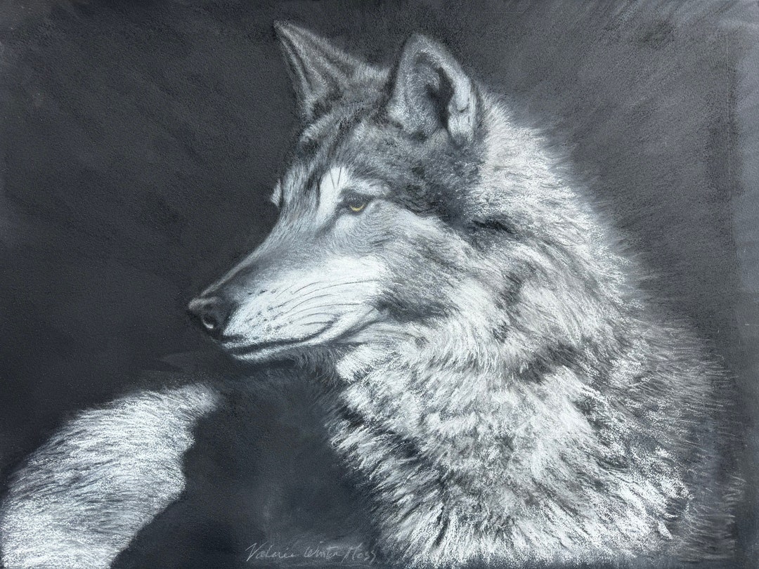 ORIGINAL PASTEL DRAWING Wolf Looking On - Etsy