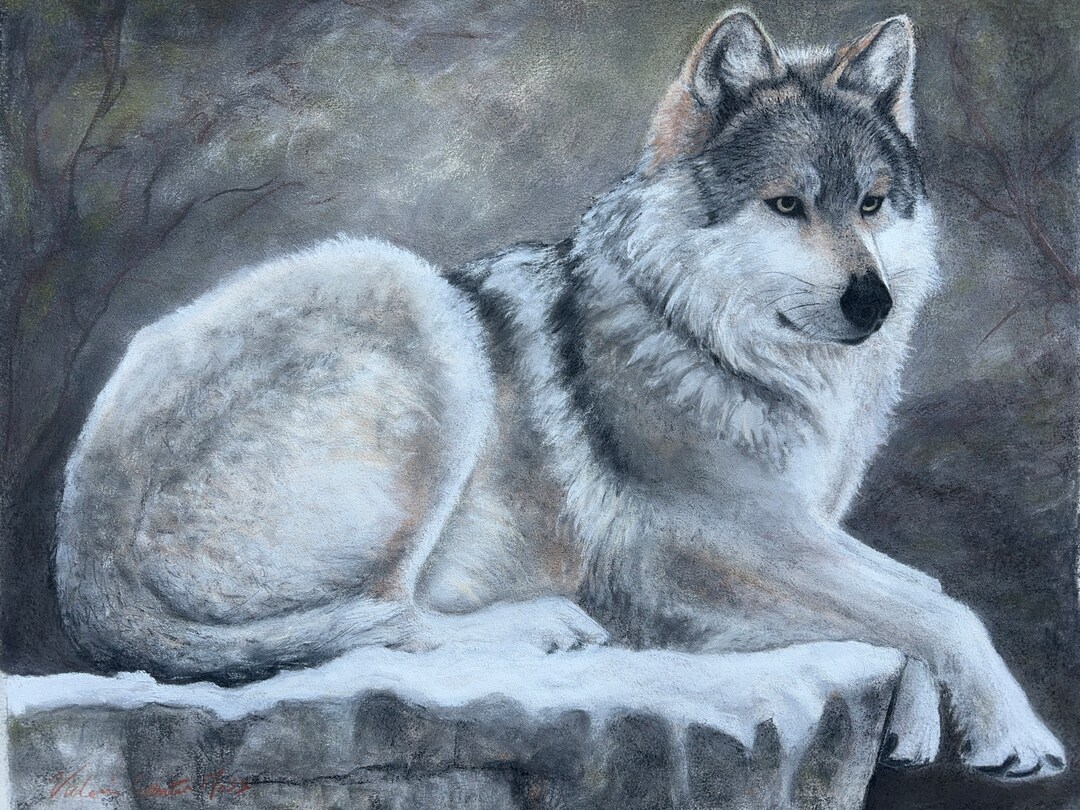 ORIGINAL PASTEL DRAWING Wolf in Snow - Etsy