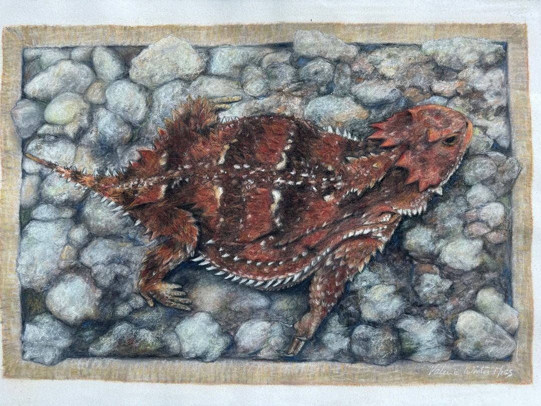ORIGINAL PASTEL DRAWING Horny Toad - Etsy