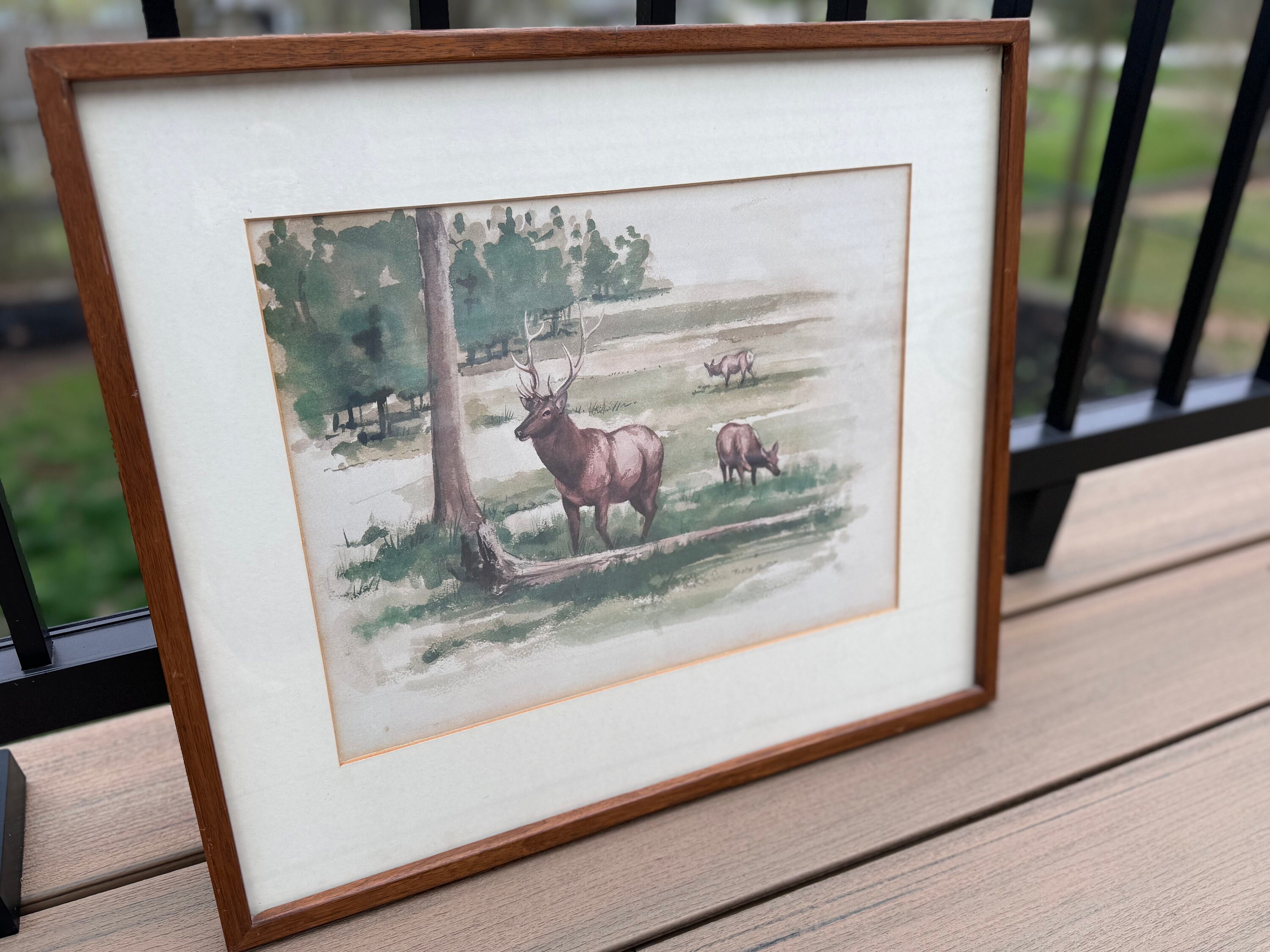Yellowstone Elk Watercolor Painting Vintage 1981 Tooby Burton Signed ...