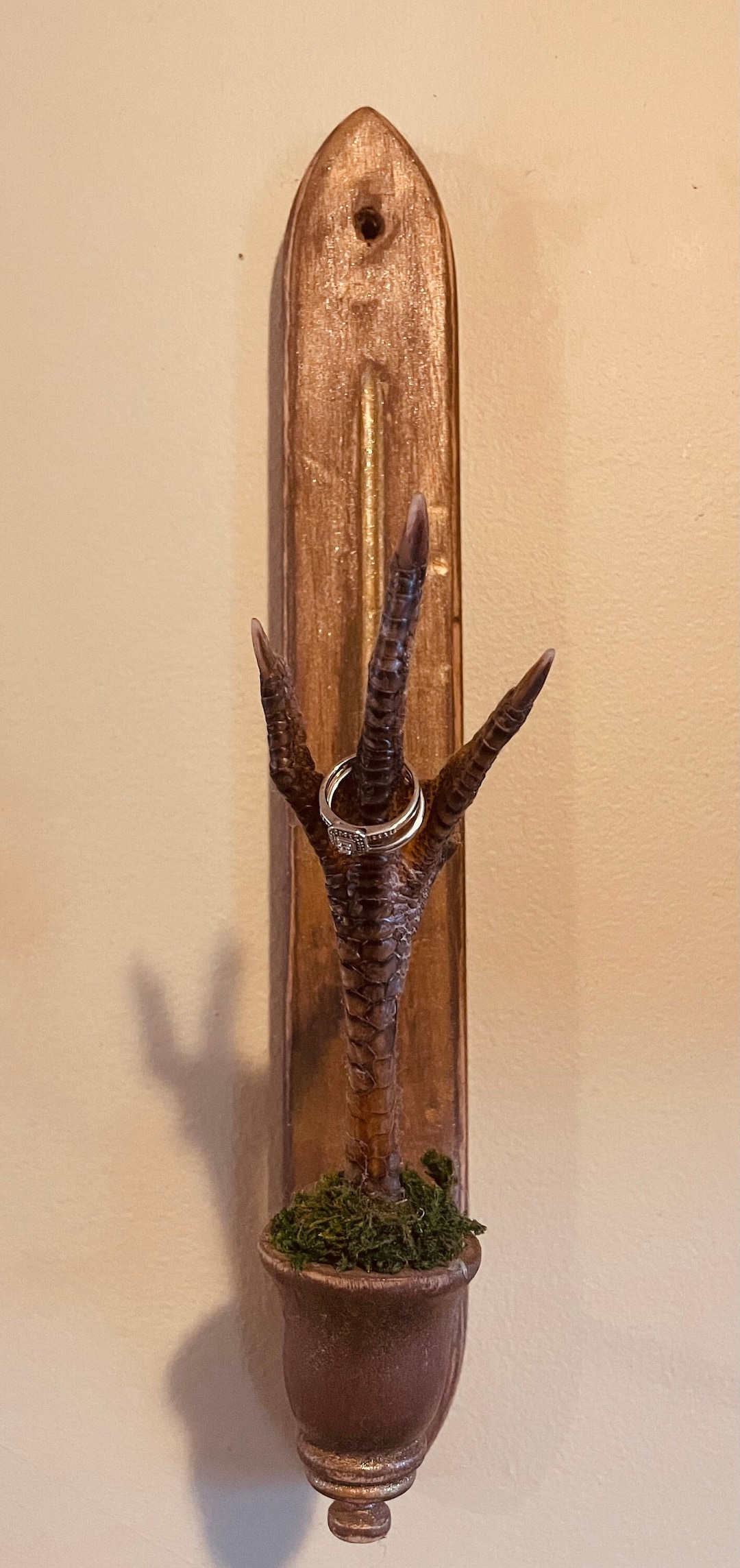 Pair Gothic Style Taxidermy Chicken Feet Ring and Necklace Holders. - Etsy