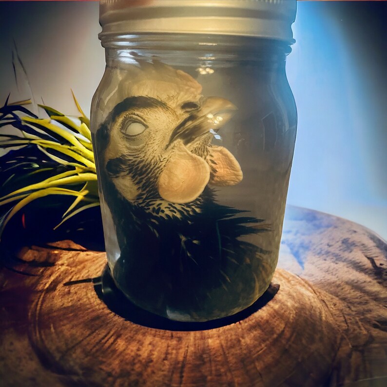 Miniature Chicken Head Wet Specimen - Etsy