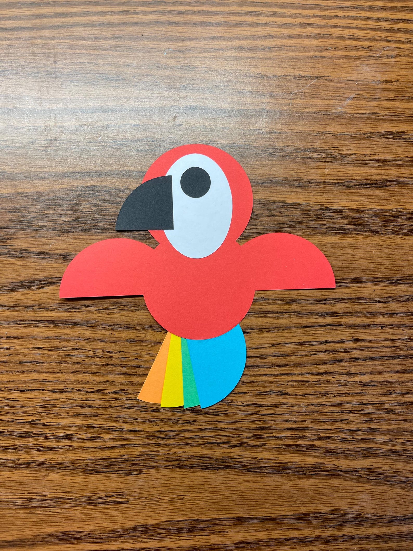 Parrot Door Decs - Etsy