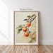 Autumn Apple Tree Art Print, Fall Apple Picking, Kitchen Digital Wall ...
