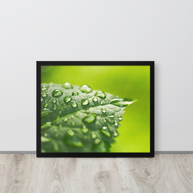 Zen Poster, Zen Poster, Well-being Poster, Well-being Poster ...