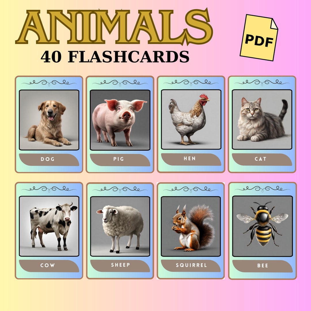 ANIMALS FLASHCARDS 40 Cards A6 Stickers Flash Cards Pdf Printable Cards ...
