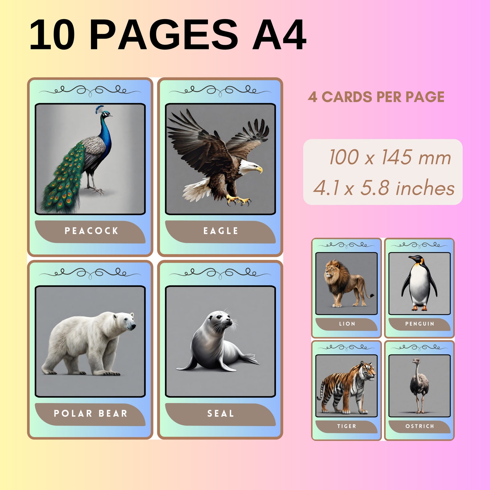 ANIMALS FLASHCARDS 40 Cards A6 Stickers Flash Cards Pdf Printable Cards ...