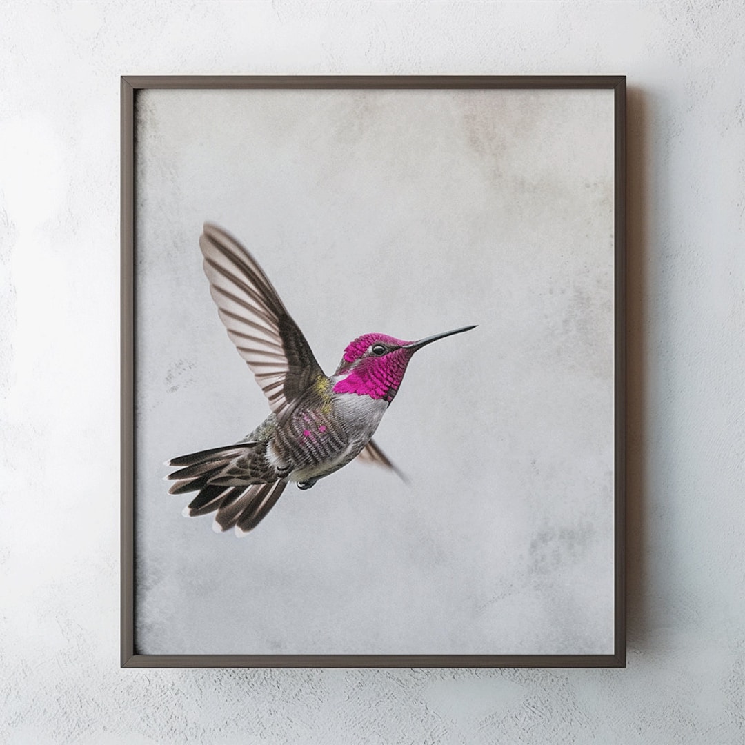 Anna's Hummingbird, DIGITAL Prints, Wall Arts - Etsy