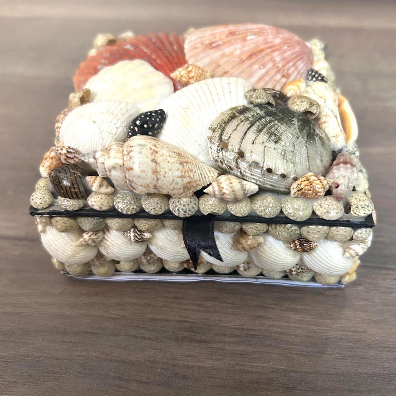 Shell Pill Box - Etsy