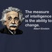 Albert Einstein the Measure of Intelligence is the Ability to Change ...