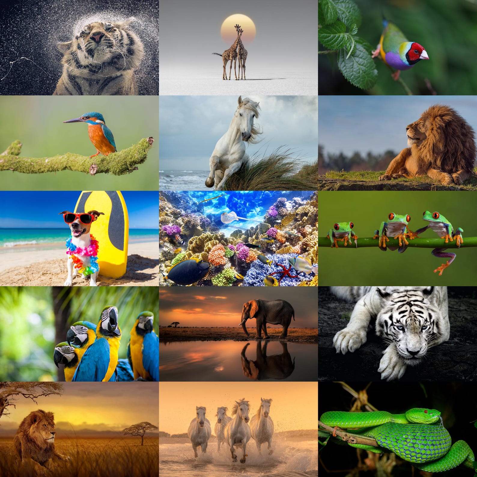 10000+ 4k Wallpapers Bundle | Frame TV / Desktop | MRR PLR | Premium ...