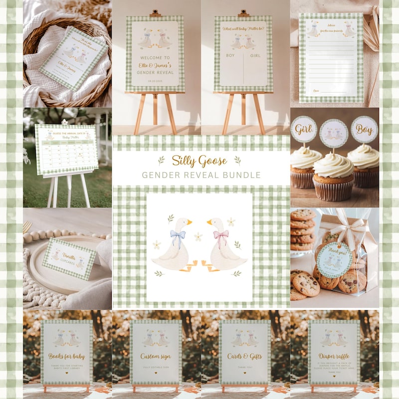 He or She Goose Reveal - Etsy