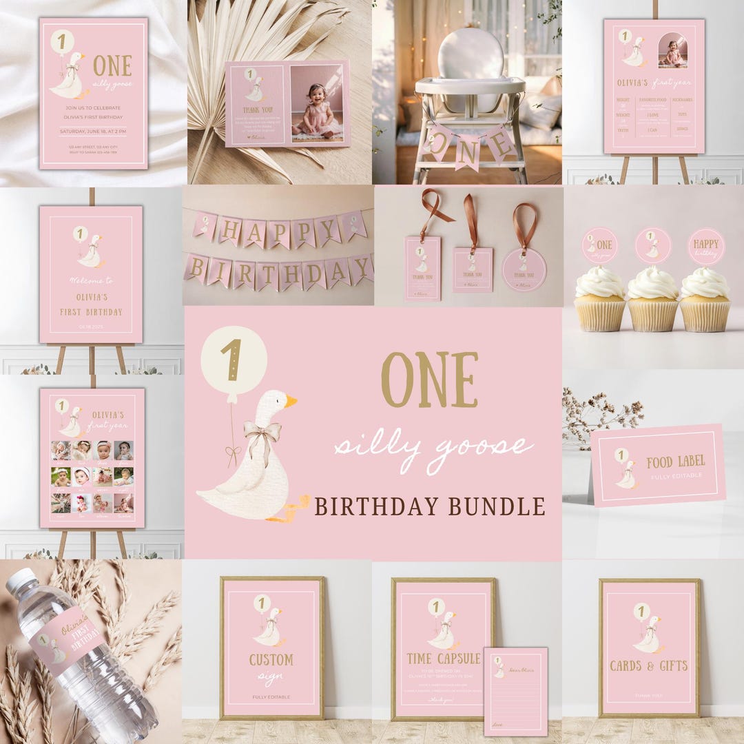 One Silly Goose Birthday Party Package, Girl First Birthday Bundle ...
