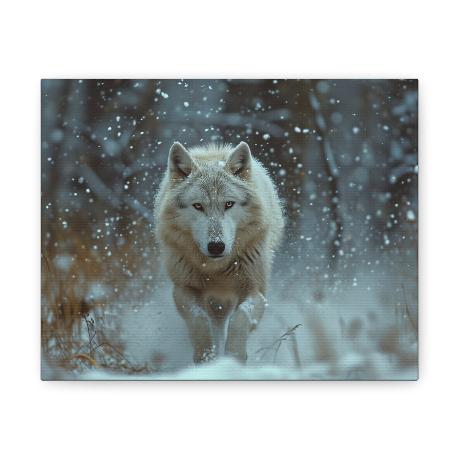 Majestic White Wolf Forest Scene High-resolution 3072x1536 Digital ...