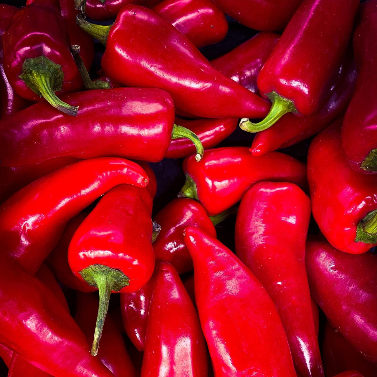 Heirloom Fresno Chili Pepper Seeds - Etsy