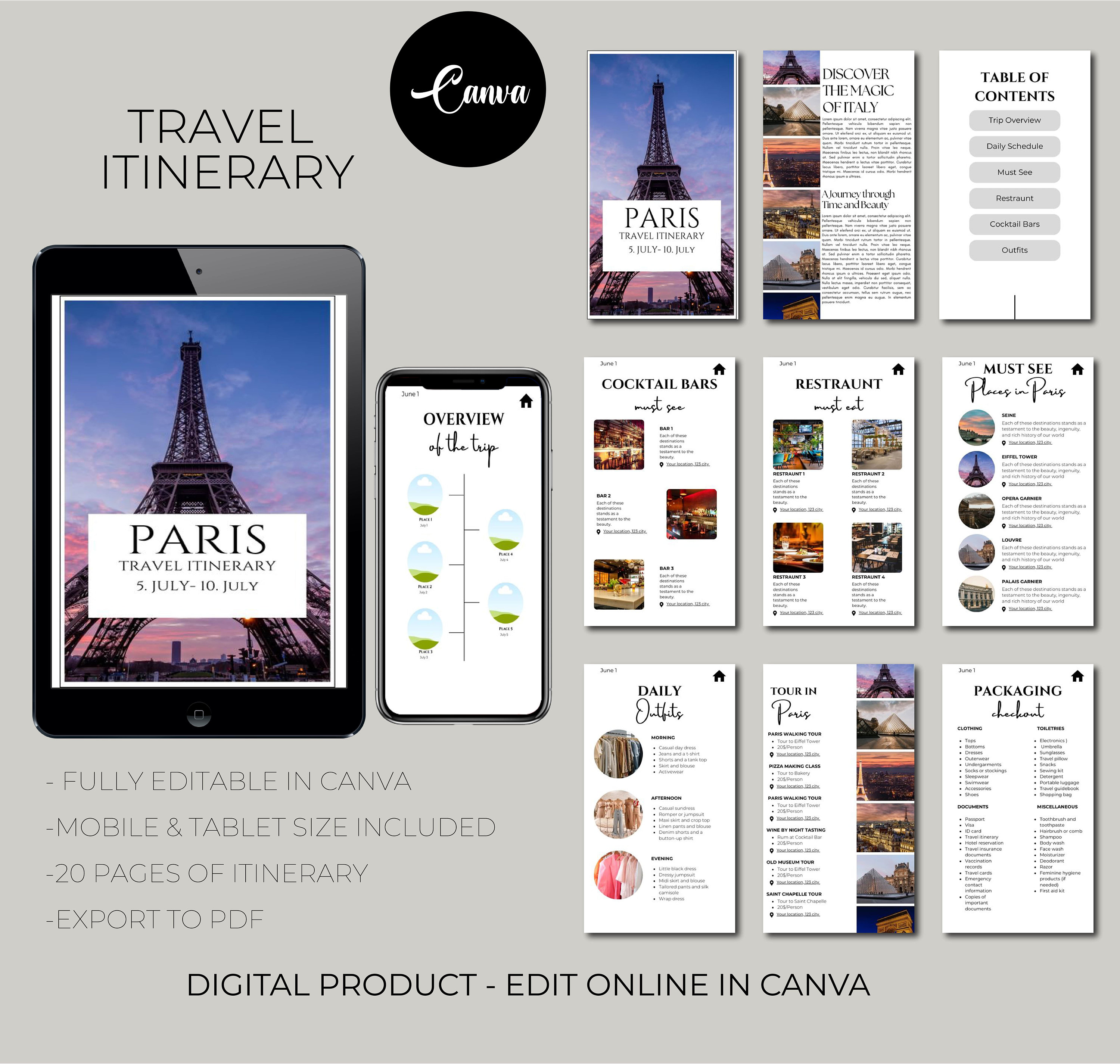 Editable Travel Itinerary Template, Trip Itinerary Printable Travel ...