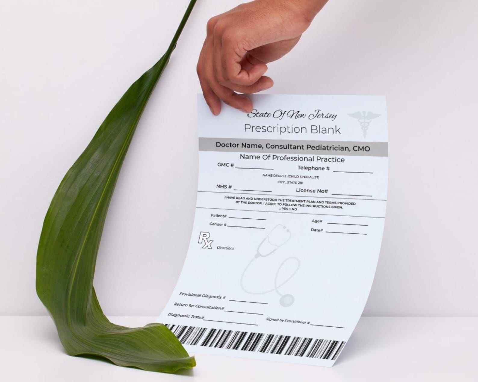 Editable Prescription Template, Professional Script, Prescription Pad ...
