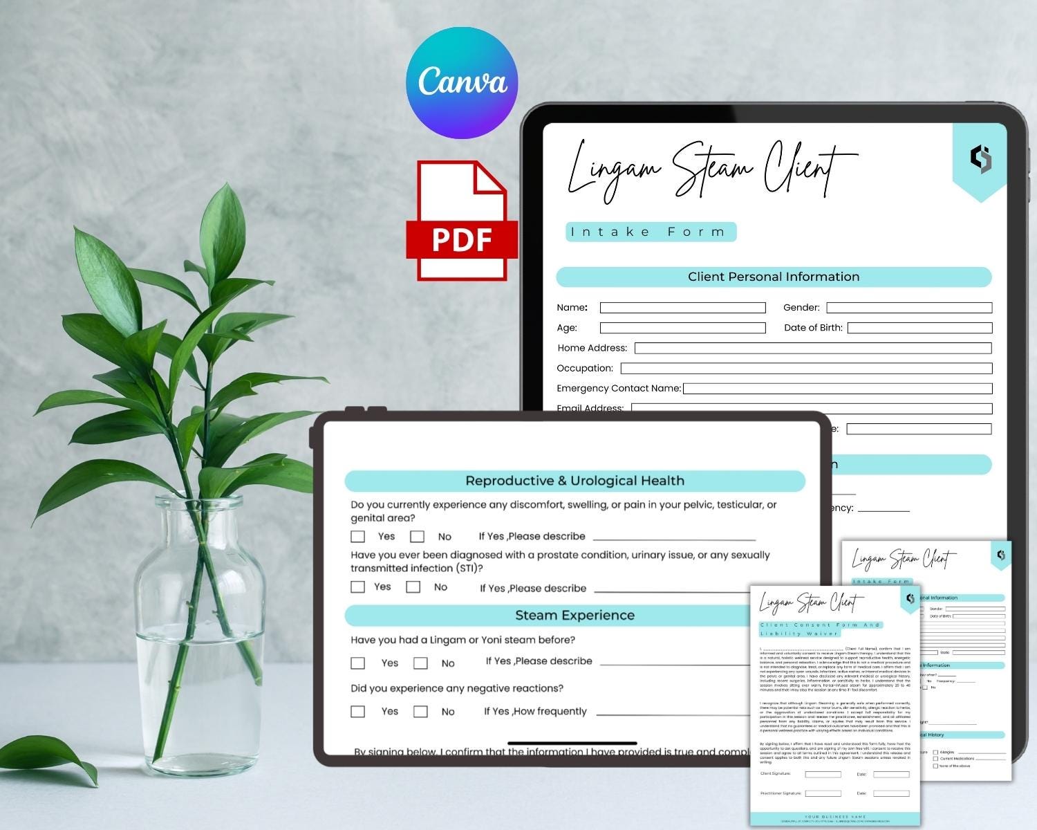 Lingam Steam Client Intake Form, Esthetician Consent Form, Facial ...