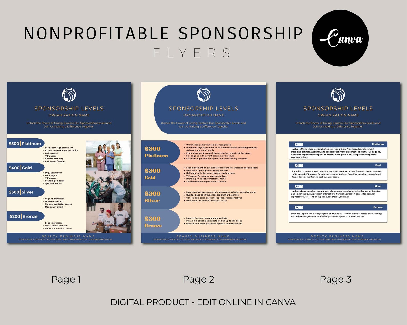 Nonprofit Event Sponsorship Fundraising Flyers, Donation Package, Editable Infographic, Sponsor ...
