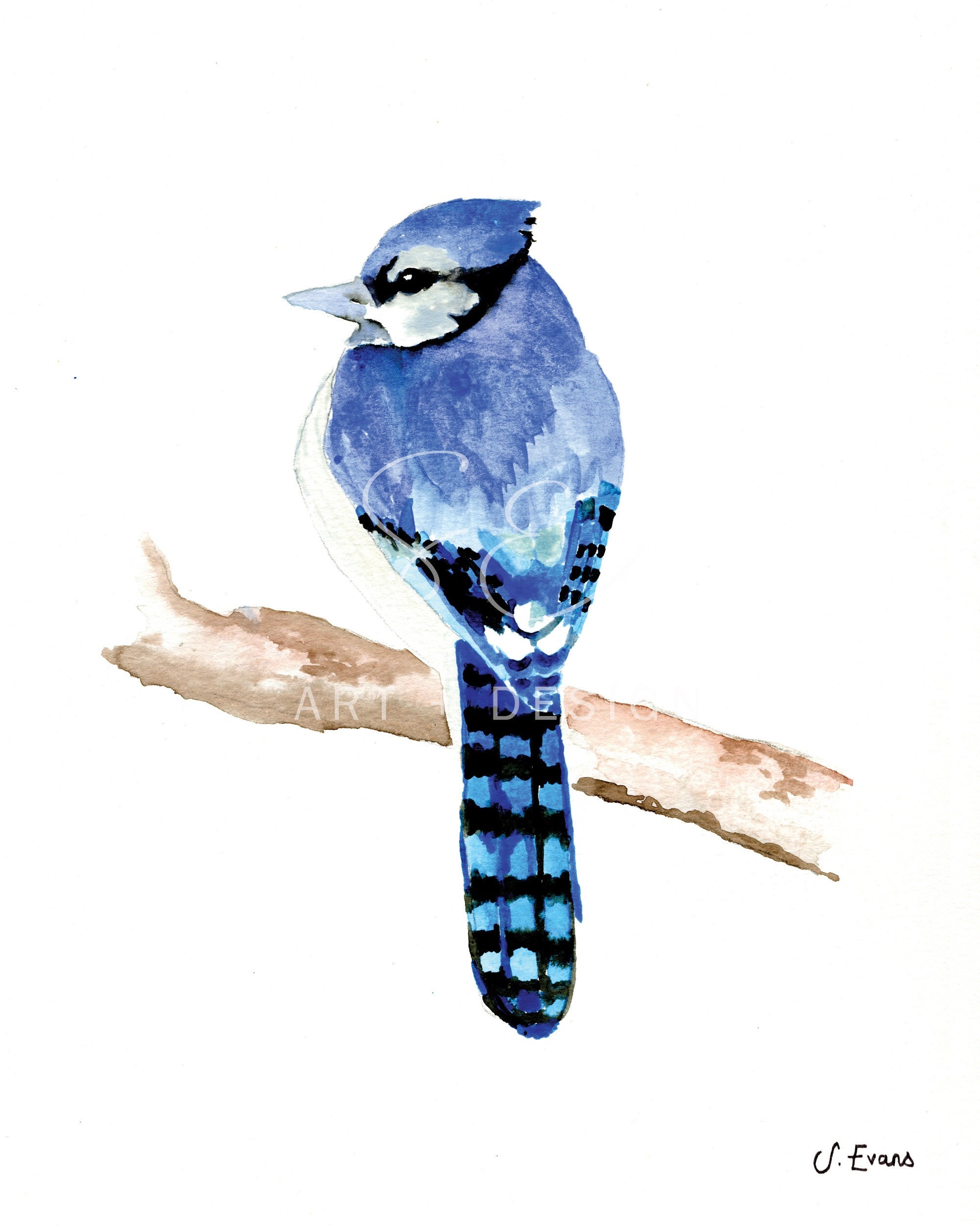 Blue Jay Watercolour Painting 8x10, Digital Download. Watercolour, Wall ...