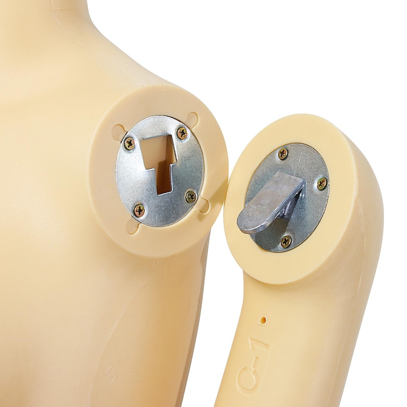 Flesh-tone Female Mannequin: Realistic Proportions, Detachable Parts ...