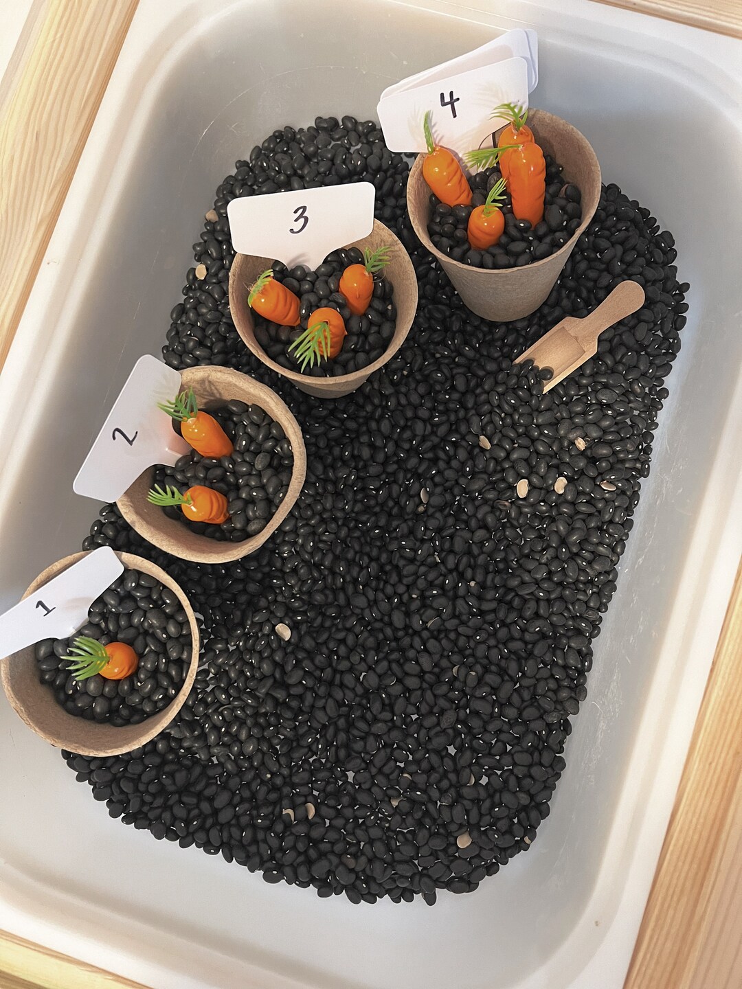 Carrots and Counting Sensory Bin - Etsy